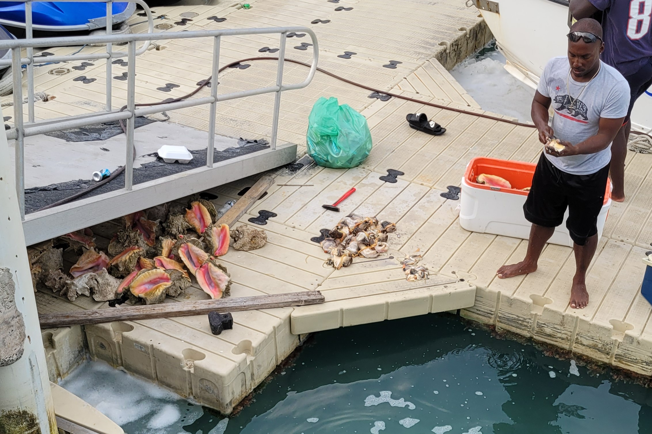 The Fish and Fisheries of the Turks and Caicos Islands - SAERI